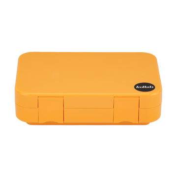 Bento Box Mango – Kollab